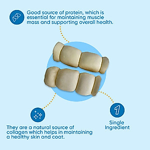 123 Treats - Thick Beef Cheek Retriever Roll for Dogs (6 inches - 10 Count)