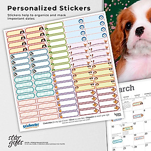 The Beauty of Cavalier King Charles Spaniel Puppies | 2024 12 x 24 Inch Monthly Square Wall Calendar | Sticker Sheet | StarGifts | Animals Dog Breeds Puppy