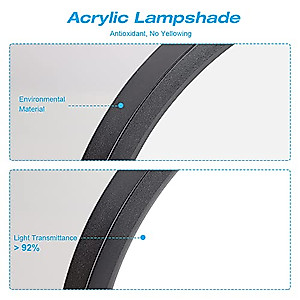 2 Pack LED Flush Mount Ceiling Light Fixture, 12 Inch 24W, Modern Flat Black Ceiling Lighting Fixture, 5000K Daylight White, 3200LM Low Profile Ceiling Lamp for Bedroom, Living Room, Hallway, Kitchen