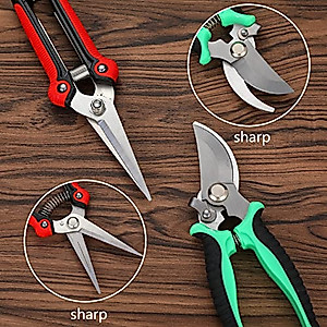 5 pack Garden Pruning Shears Stainless Steel Blades, Handheld Scissors Set with Gardening Gloves,Heavy Duty Garden Bypass Pruning Shears,Tree Trimmers Secateurs, Hand Pruner (Multi-color)