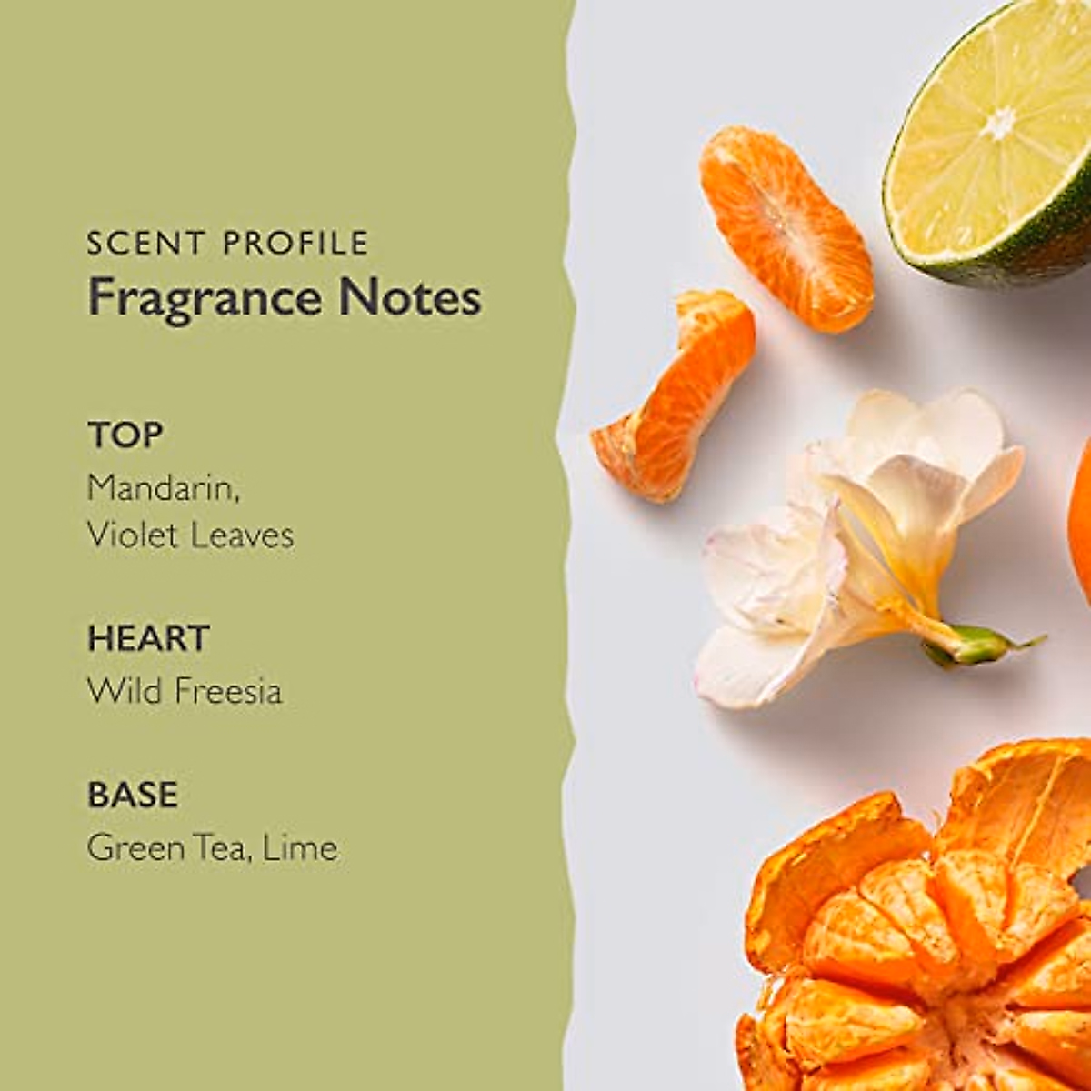 Scent-Organix So Serene Perfume for Men & Women - Citrusy and Fruity Scent with Notes of Mandarin, Wild Freesia & Green Tea - Non-Toxic, Vegan & Biodegradable Perfume - 1.7fl Oz