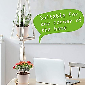 DORAKCI Bonsai Tree Kit - Gardening Gift for Men & Women - Bonsai Tree Growing Garden Crafts Hobby Kits for Adults - Room Decor - Bonsai Tree for Beginners - Crafts for Adults