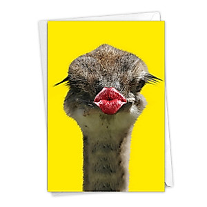 NobleWorks Wild Kisses - Ostrich - Get Well Greeting Card with Envelope (4.63 x 6.75 Inch) - C9280GGWG