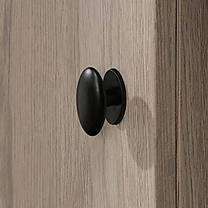 Sauder Miscellaneous Home Office Desk, Laurel Oak Finish