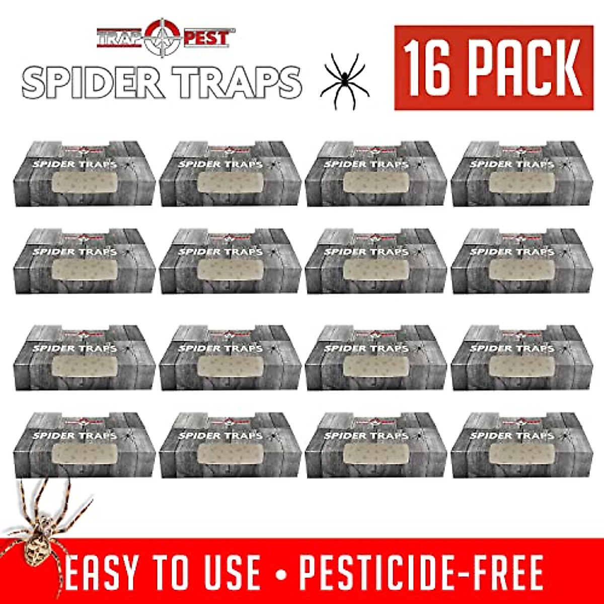 Spider Traps for Inside Your Home (16 Traps) - Spider Catcher Insect Traps Indoor - Spider Traps Indoor Bug Traps Sticky Traps for Spiders - Pre Baited Ultra Sticky Insect Glue Traps - Trap a Pest