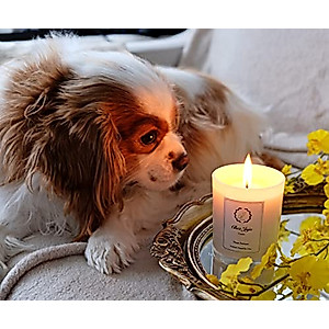 Chez Juju Natural Soy Wax Candle | Peony & Blush Suede | Luxurious Scented Candle Fragrance Aromatherapy | Clean Burning | Handcrafted | Plant-Based Vegan Eco Friendly | Pure Fine Essential Oils