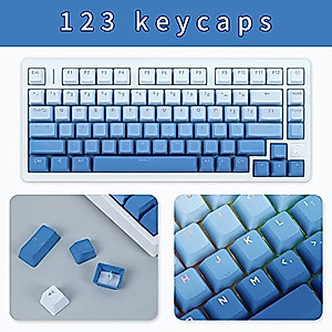 JOLINTAL 123 Keys Gradient Blue Keycaps, PBT Double Shot Dying Positive Engraved Translucent Keycaps, Ocean OEM Profile Keycaps for Mechanical Keyboard Gaming Keyboards