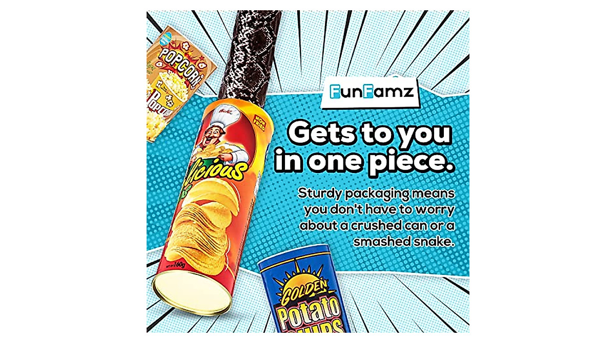 FunFamz Snake in a Can Prank - Hilarious Kids & Adults Gag Toy