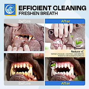 PUPMATE Dental Care Wipes for Dog & Cat- Teeth Cleaning Finger Wipes for Plaque and Tartar Removal, Safe & Gentle Disposable Toothbrush Wipes for Fresh Breath & Gum Care - 50 Pcs