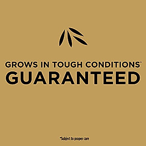 Scotts EZ Seed Patch and Repair Bermudagrass, 10 lb. - Combination Mulch, Seed, and Fertilizer - Tackifier Reduces Seed Wash-Away - Even Grows in Scorching Heat - Covers up to 225 sq. ft.