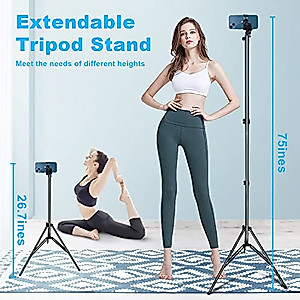 GreatLPT 75'' Light Stand Extendable, Photography Tripod Stand Metal Portable Tripod Stand Perfect for Ring Light, Softboxes, Video Lights, Camera