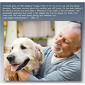 Fish Oil for Dogs Natural Omega 3 Fish Oil Liquid - Dog Skin & Coat Supplement - Dog Fish Oil Supplement for Shedding, Allergy & Itch Relief - Omega 3 Fish Oil Dogs Joints, Immune Support & Digestion