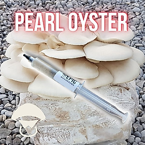 Epic Mushrooms: Lab-Grade Liquid Culture Syringe (Pearl Oyster (Pleurotus Ostreatus))