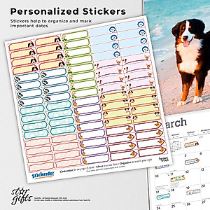 The Beauty of Bernese Mountain Dogs | 2024 12 x 24 Inch Monthly Square Wall Calendar | Sticker Sheet | StarGifts | Animals Breeds