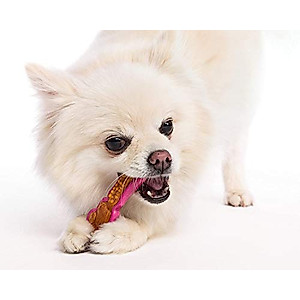 CHEW TOY ASSORTD EXT LRG