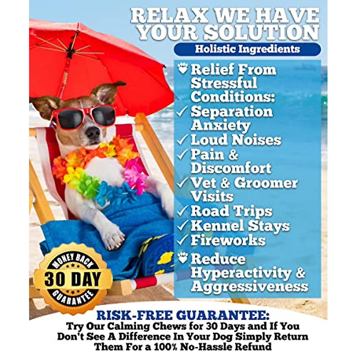 Well Loved Calming Chews for Dogs - Dog Calming Treats, Made in USA, Vet Developed, Dog Anxiety Relief, Separation, Fireworks, Travel & Stress Support, Melatonin, Natural & Holistic, 90 Calming Treats