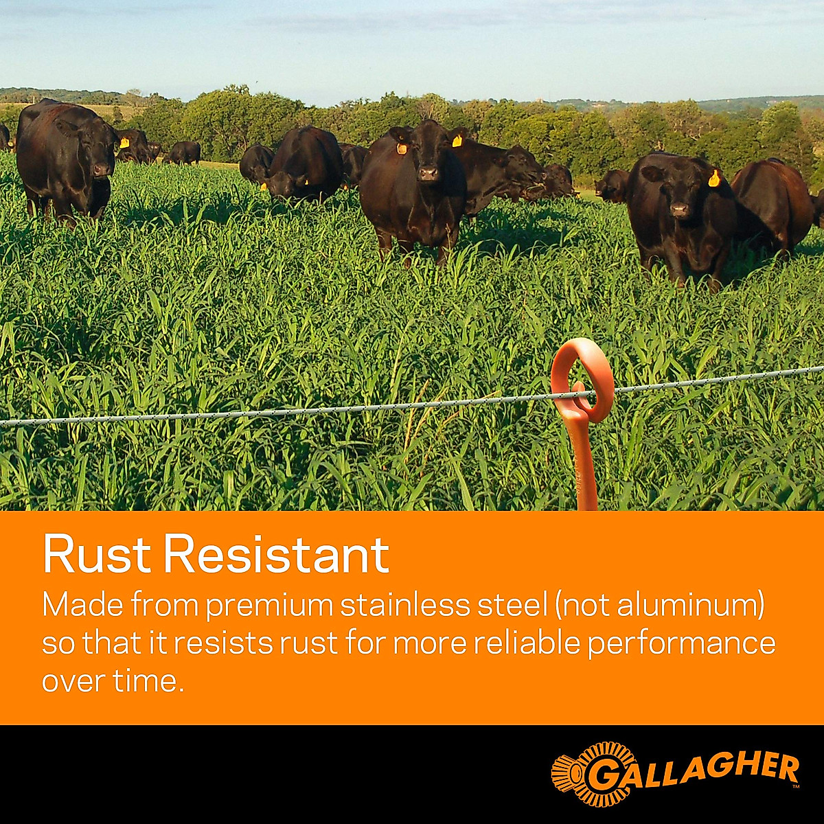 Gallagher Electric Fence Poly Wire | Bonus Pack - 1312 Ft Plus Free 328 Ft Roll | 6 Stainless Steel Strands for Reliable Conductivity and Rust Resistance | 1/16" Diameter Polywire | UV Resistant