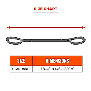 Lanyard with Buckle End, Easily Attaches to Hard Hat, Tools, or Small Valuables, Weight Capacity 2lbs, Ergodyne Squids 3150,Lime