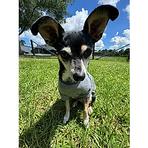 Generic Grill House Kind Rewards Dog Treats 4.5 oz (128g) Bac'N Sizzlers Flavored (Bacon)