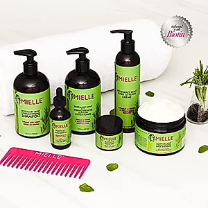 Mielle Organics Rosemary Mint Strengthening Hair Masque, Essential Oil & Biotin Deep Treatment, Miracle Repair for Dry, Damaged, & Frizzy Hair, 12 Ounces