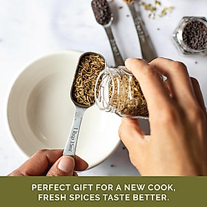 Gneiss Spice Basic Kit | 12 Magnetic Spice Jars Filled With Organic Seasonings (Small Jars)…