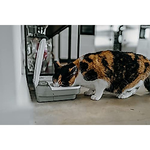 Bundle of Cat Mate C200 Automatic 2 Meal Pet Feeder, 2X Stainless Steel Bowl Inserts, and Extra Cat Mate Ice Pack