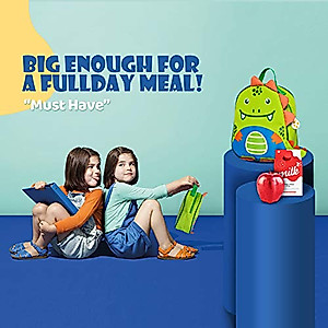 CLOVERCAT Dinosaur Lunch Box for Boys - Cute Insulated Reusable Toddler Lunch Box with Container Cooler - Toddler Lunch Bag Tote Perfect for School, Picnic, Travel, & Outdoors