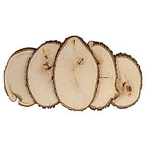 Walnut Hollow Medium Basswood Rustic Round Wood Slices with Live Edge Bark, Bulk Value Pack, 12-Pack