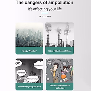 HEYAXA Air Purifiers for Home Large Room, H13 True HEPA Filter, Filterable 99.97% Micron Particles/Smoke/Pet Dander/Odor/for Office, Dorm, Apartment, Kitchen (Green Leaves)