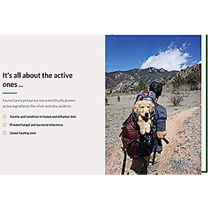 Fauna Care Equine Protect & Condition Spray 4.5 oz to Heal & Soothe Wounds, Cuts, Scrapes, Scratches, Post-Op; Prevent Infection, Irritation, Pain; Veterinarian Recommended Wound Care