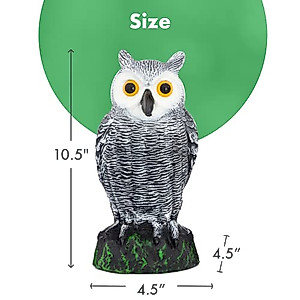 Fake Owl Decoy and Bird Deterrent - Plastic Owls to Scare Birds Away - Effective Bird Deterrent Devices as Scarecrow for Garden - Bird Repellent Devices Outdoor. Keep Birds Away!