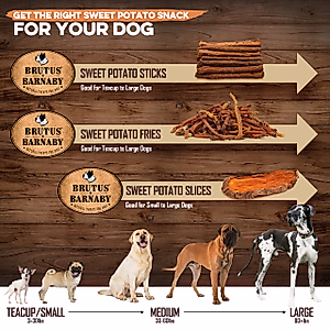 BRUTUS & BARNABY USA Sweet Potato Dog Treats - Grain Free, Pumpkin Bacon Crunchy Sticks - Great Tasting, Promotes Positive Dog Gut Health with Natural Anti-Diarrhea Properties, No Preservatives Added