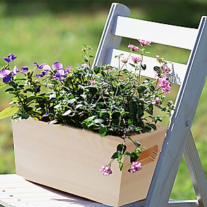 Aweyka 6 Packs Unfinished Wood Box in 5 Sizes Rustic Handles Wooden Box Storage Organizer Container Craft Box Nesting Treasure Boxes for Crafts Home Table Decoration