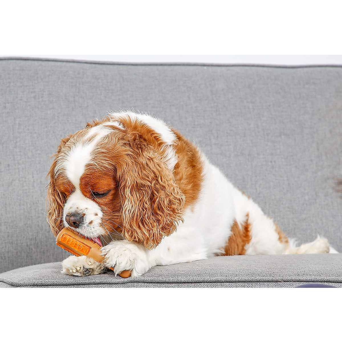 Hartz Chew ‘n Clean Chicken Flavored Drumstick Dog Treat & Chew Toy, Small, 2 Pack