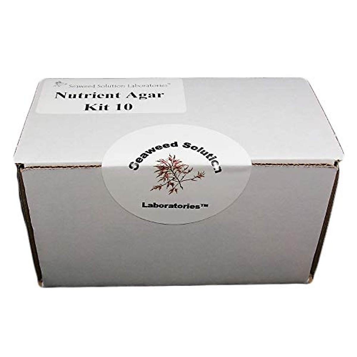 Nutrient Agar Kit, Includes Nutrient Agar Dehydrated, 10 Sterile Petri Dishes with Lids & 10 Sterile Cotton Swabs