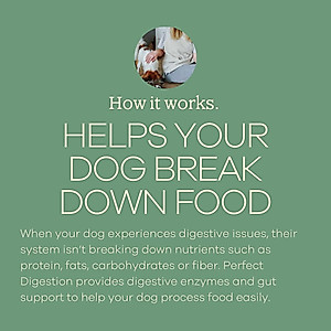 Perfect Digestion by Yumwoof - Non-GMO, Human-Grade Dog Food Topper