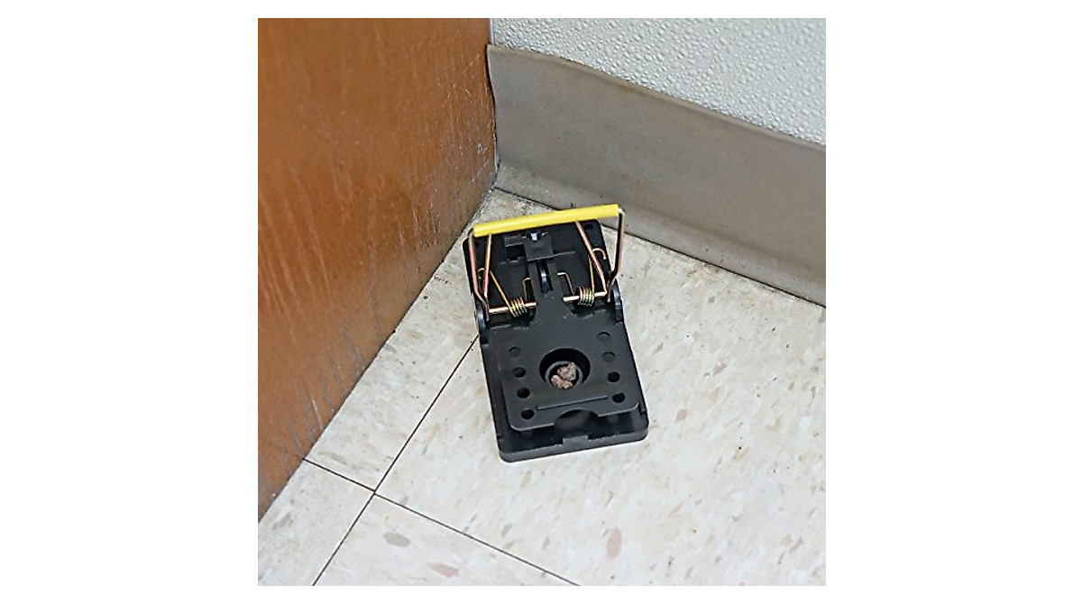 iTrap Mouse Control Snap Trap Set of 4 - Efficient and Easy