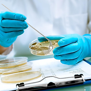 BENECREAT 10pcs 304 Stainless Steel Cell Spreader, Triangle Spreading Bar Wide Cell Spreader for Laboratory Experiments, 9x1.2 Inch