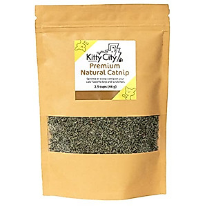 Kitty City Premium Natural Catnip