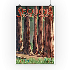 Lantern Press Sequoia National Park, Forest Grove in Spring (12x18 Art Print, Travel Poster Wall Decor)