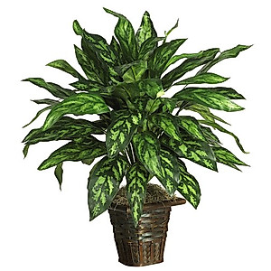 Nearly Natural 6615 Silver King with Basket Decorative Silk Plant, Green