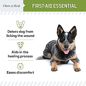 Pet Liquid Bandage for Dogs - 4 oz Spray with Aloe - Wounds Care for Dogs Including Cuts, Scrapes, and Stitches - Breathable and Waterproof