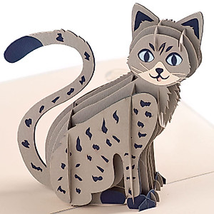 Cat Pop Up Card by DEVINE Popup Cards w/envelope (8"x6") | Pop Up Greeting Cards | Pop Up Birthday Cards for Women Mom | Funny 3D Cards All Occasion Love