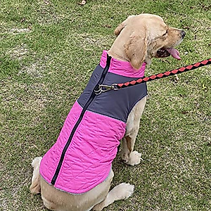 HonpraD Pet Clothes for Small Dogs Girls Dress Reflective Waterproof Pet Coat Winter Warm Dog Coat for Small Medium Large Dog