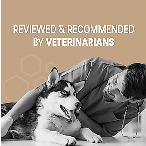 Pet Health Pros Omega Bites for Dogs - Chewable Fish Oil Supplement with Omega 3 Fatty Acids and Vitamin E for Joint Health and Skin & Coat Health - 60 Count