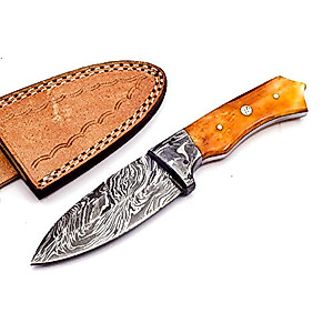 Nooraki SK-REG 44 Custom Handmade Damascus Steel Knife, Hunting knife, Camping knife, Survival Knife, Coloured Bone Handle, Full Tang with Leather Sheath