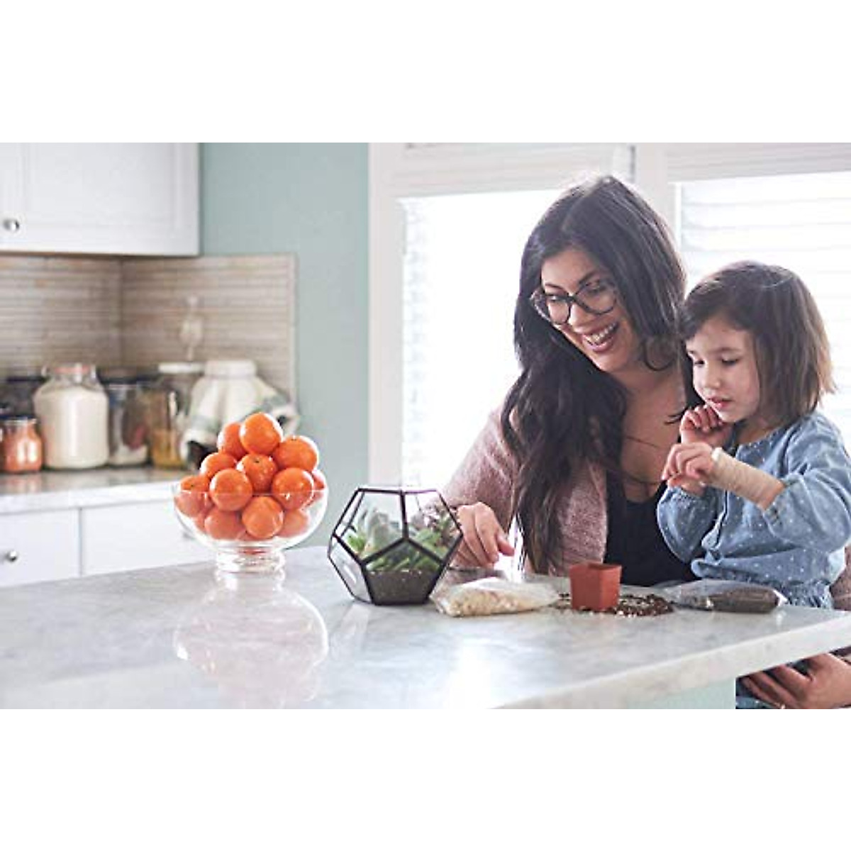 Shop Succulents | Unique Live Plants, Hand Selected Variety Pack of Mini Succulents | Collection of 12