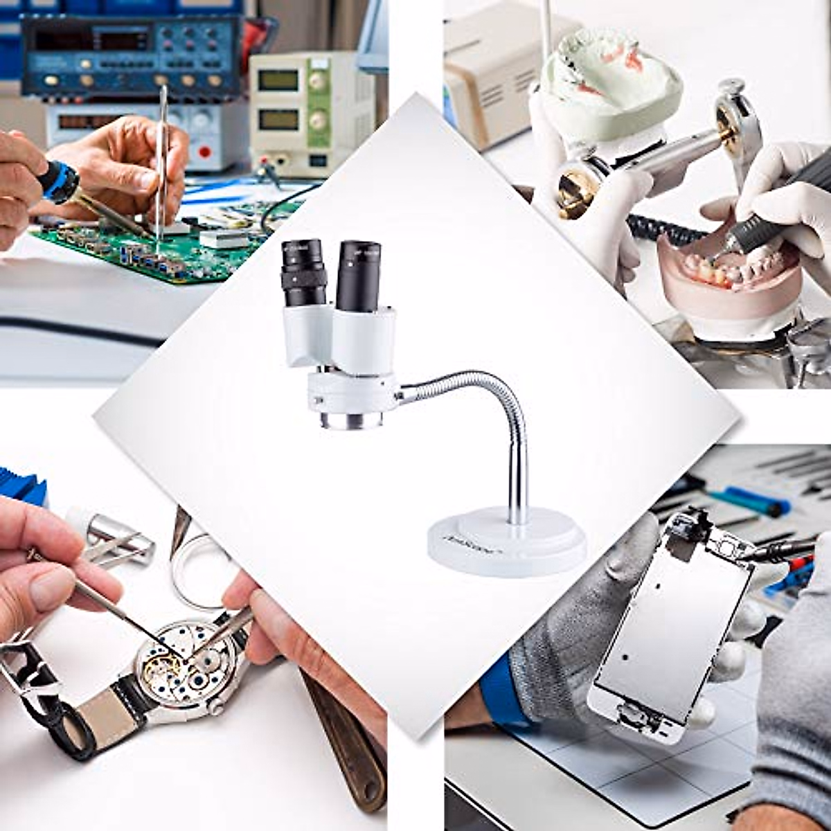 AmScope - 8X Binocular Stereo Microscope w/ 360 Revolve + 8W Fluorescent Ring Light - Gooseneck Illuminator Set for Dental, Lab, Electronic Repairs - SE508-FRL