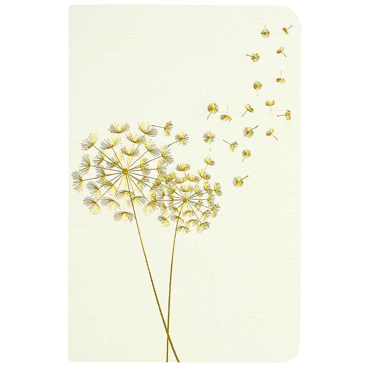 Dandelion Wishes Jotter Notebooks (set of 3)