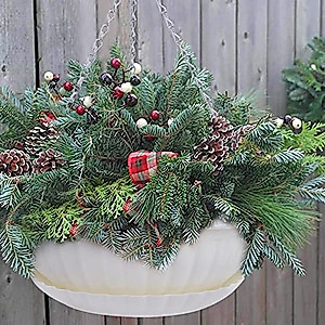 12.59" Large Hanging Planters with Drainage Hole&Tray, Hanging Flower Pots Plastic Plant Hanger Holders Hanging Basket for Indoor Outdoor Home Garden Herb Succulent (Pack 3)